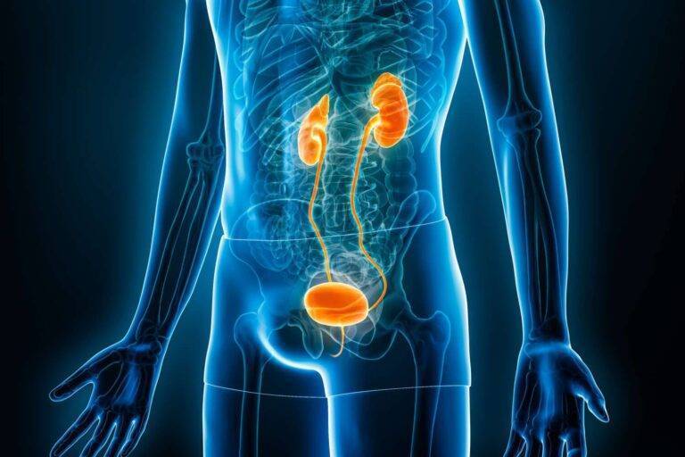 MRT Niere, Blase und ableitende Harnwege | medneo.com